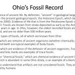 Ohio's Fossil Record | Orton Geological Museum